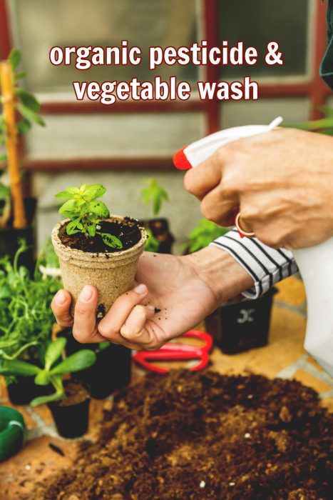 Organic Pesticide and Vegetable Wash