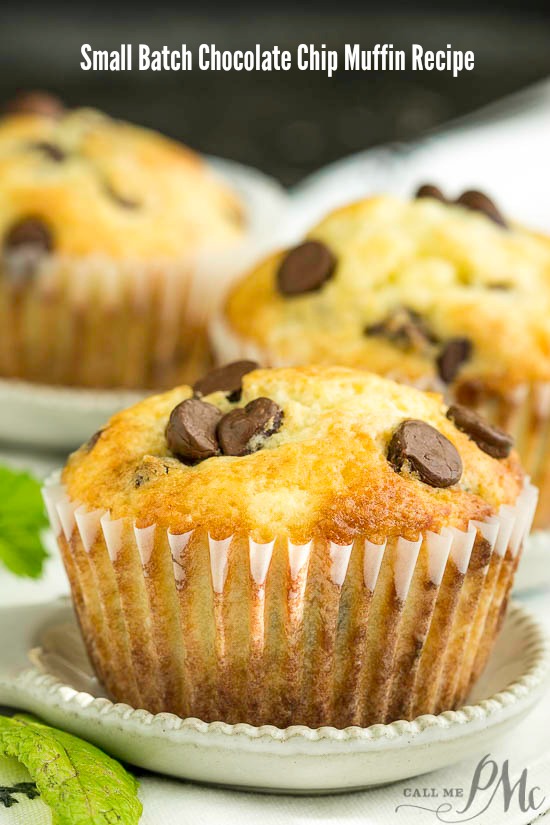 SMALL BATCH CHOCOLATE CHIP MUFFIN RECIPE SMALL BATCH CHOCOLATE CHIP MUFFIN RECIPE