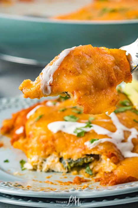 CHILE RELLENO ENCHILADAS CASSEROLE